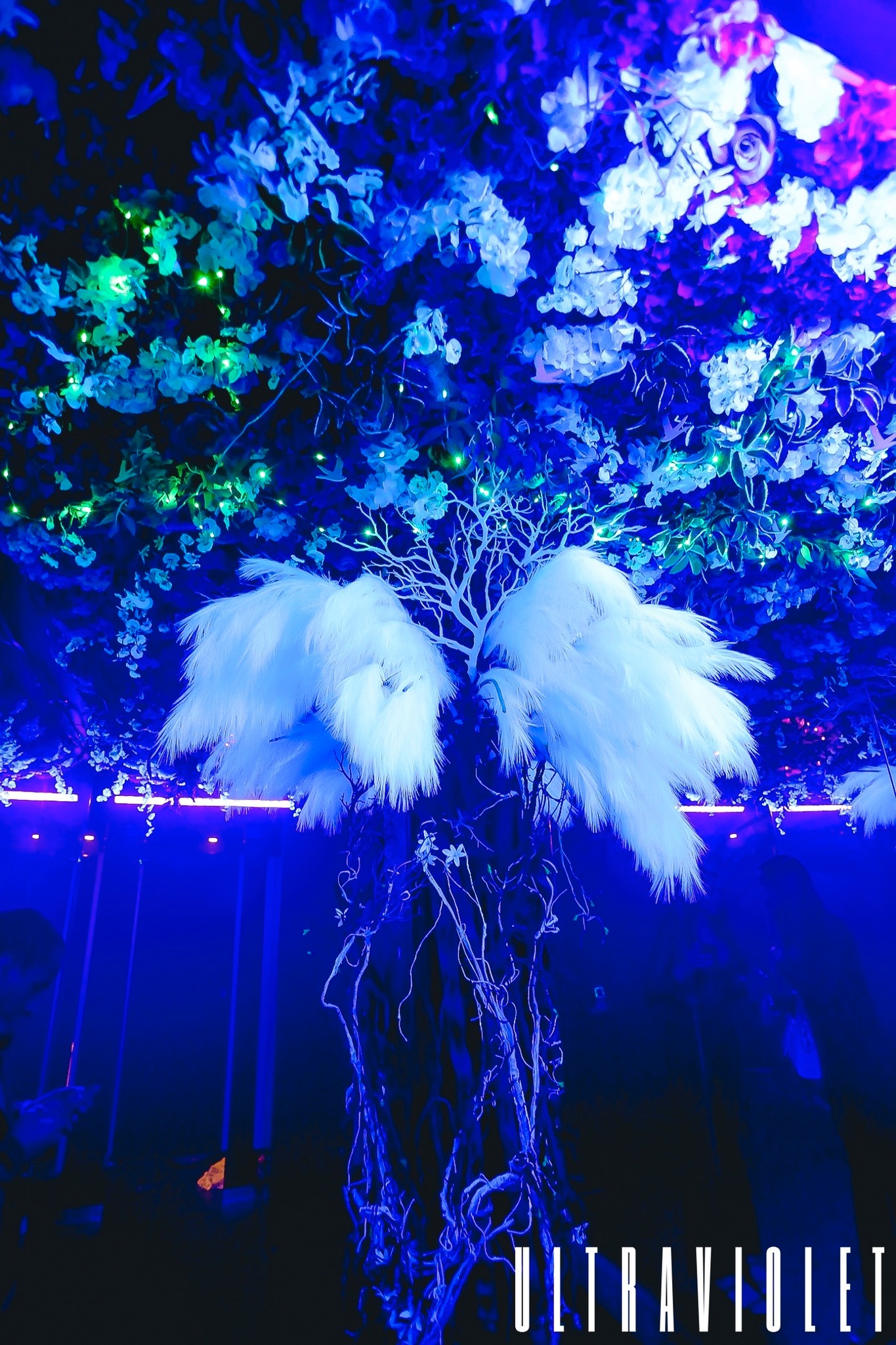 Toronto Clubs | ULTRA VIOLET FRIDAYS